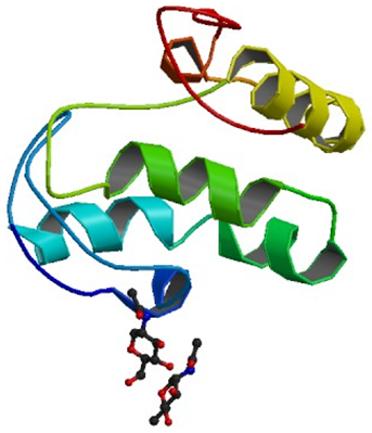 Wnt Family - Creative Diagnostics