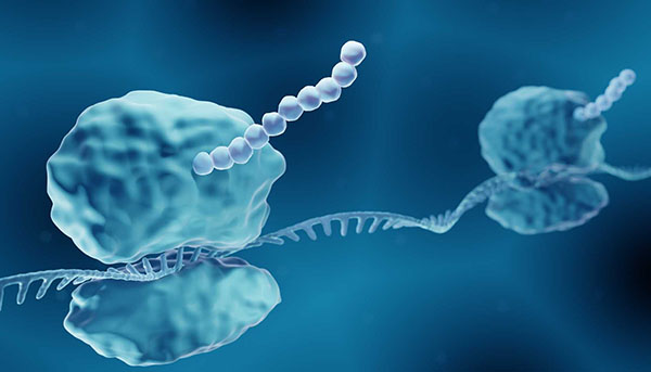A Comprehensive Guide to Kanamycin - Creative Diagnostics
