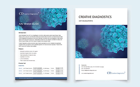 AAV Rep Proteins - Creative Diagnostics