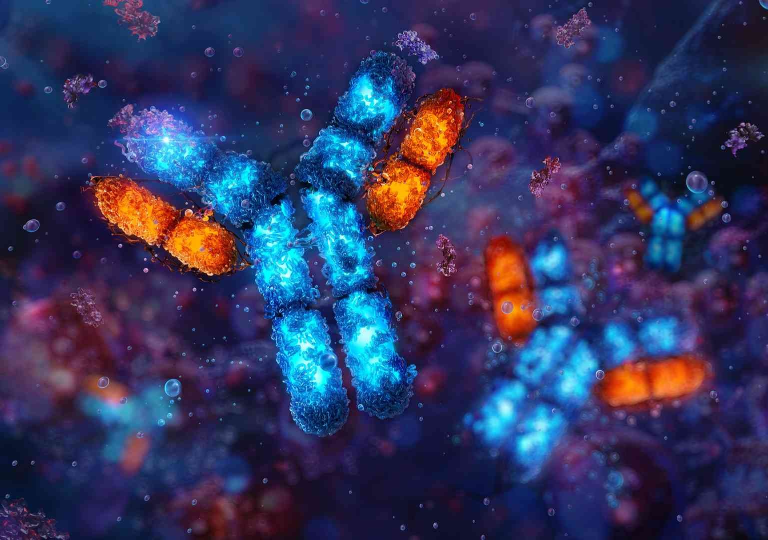 Abundant Antibody Labeling - Creative Diagnostics