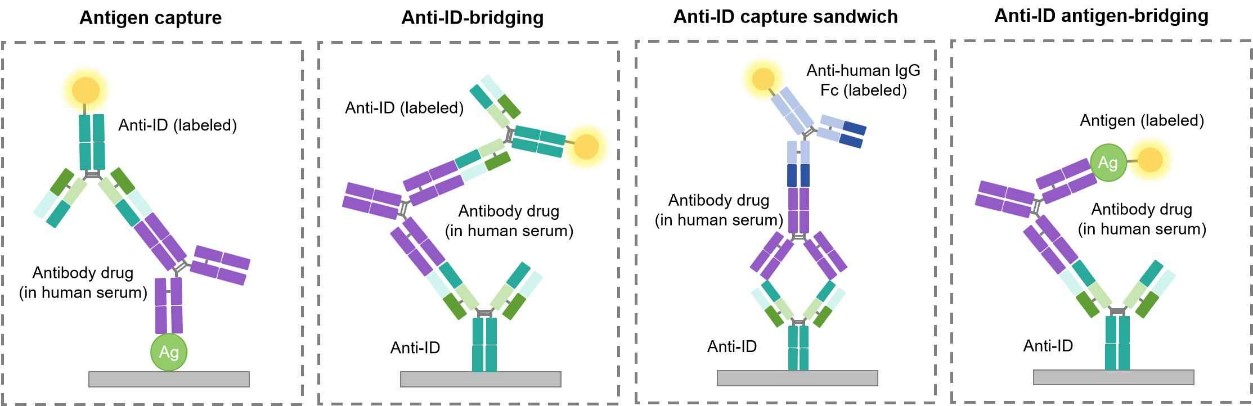 Biological Drug ADA/PK Analysis - Creative Diagnostics