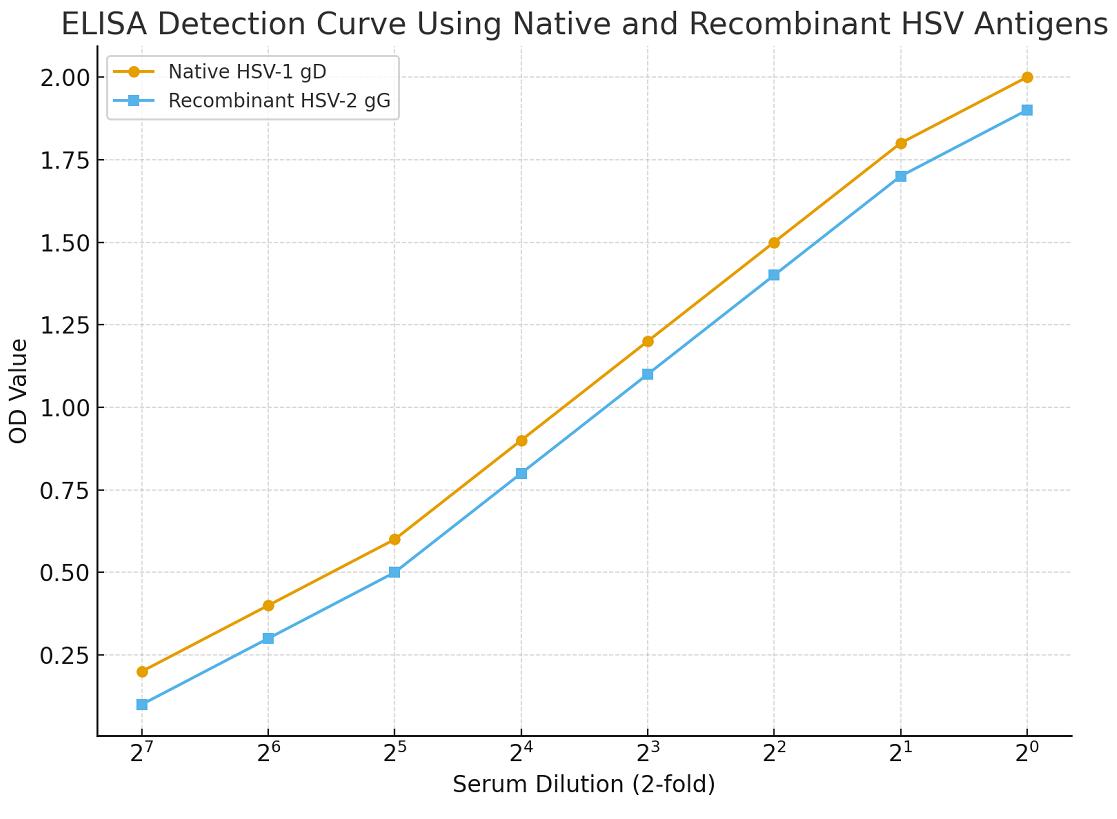 Advanced HSV Antigen Supporting Innovative Detection Assays - Creative Diagnostics