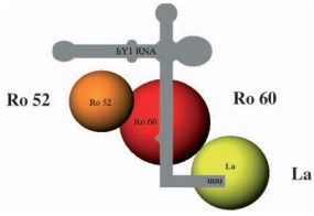 Research Review - Creative Diagnostics