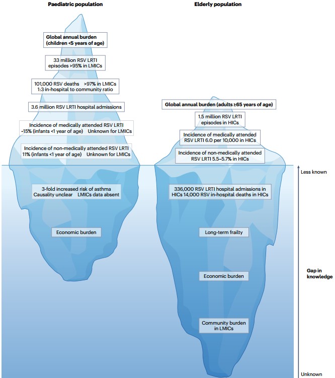 An Overview of RSV - Creative Diagnostics