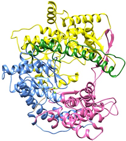 T7 RNA Polymerase Overview - Creative Diagnostics