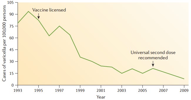 Varicella-Zoster Virus Overview - Creative Diagnostics