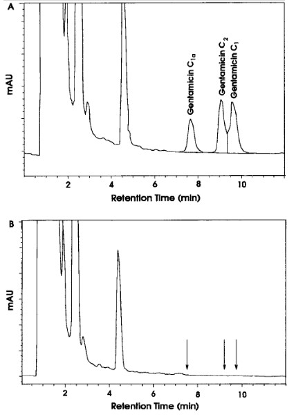 Analytical Techniques for Gentamicin Serum Level Monitoring - Creative ...