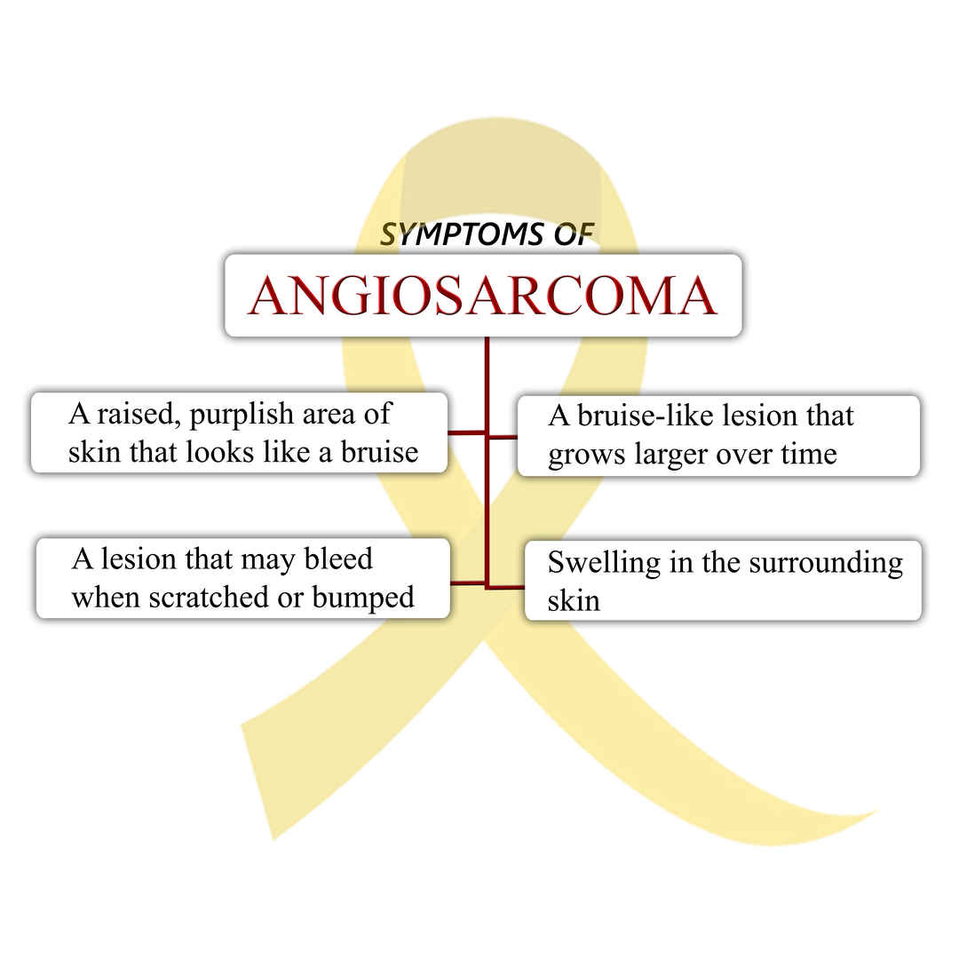 Angiosarcoma - Creative Diagnostics