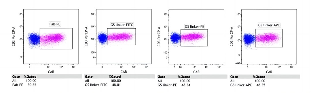 Anti-Chimeric Antigen Receptor (CAR) Linker Antibodies for CAR ...