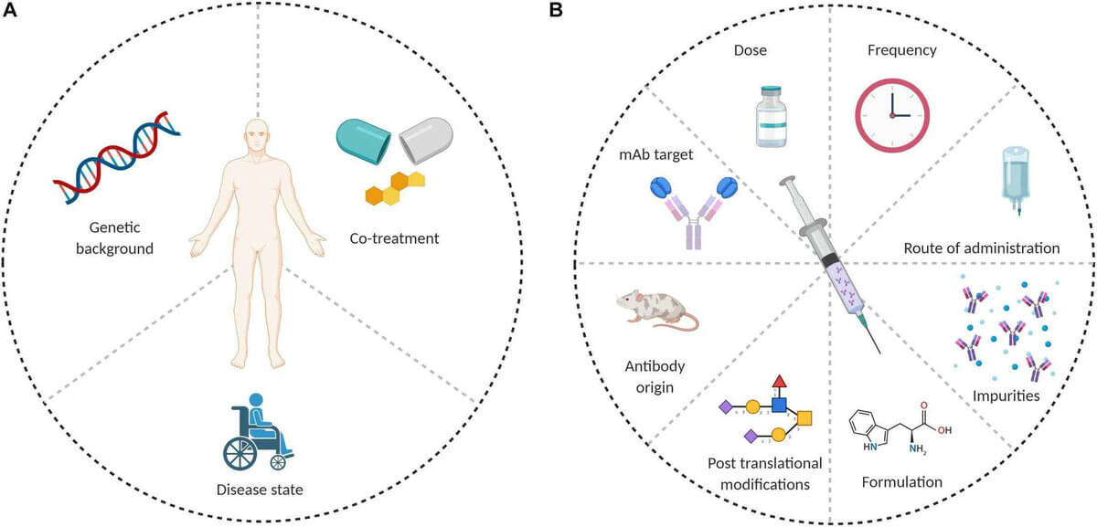 Anti-drug Antibody (ADA) - Creative Diagnostics