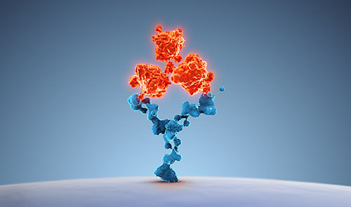 Antibodies for Chromatin Immunoprecipitation (ChIP) - Creative Diagnostics