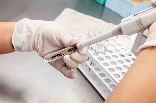 Antibodies for Flow Cytometry (FC) - Creative Diagnostics