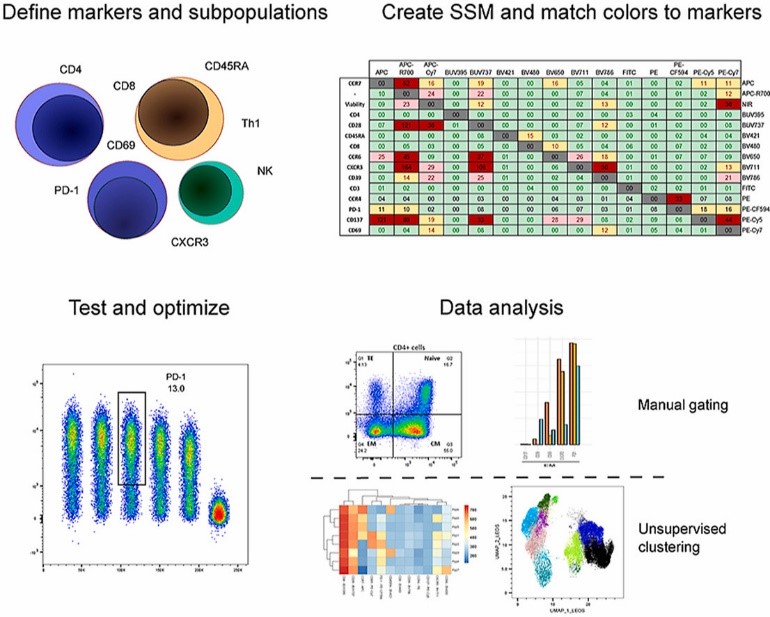 Antibodies for Flow Cytometry - Creative Diagnostics