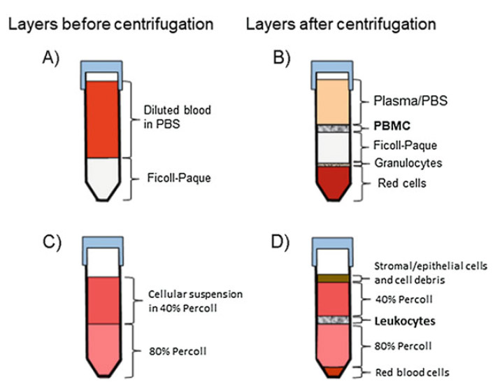 Antibodies for Immunocytochemistry (ICC) - Creative Diagnostics