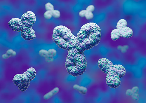 Antibodies for Immunocytochemistry (ICC) - Creative Diagnostics