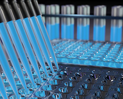 Antibodies for Immunoassays and ELISA - Creative Diagnostics