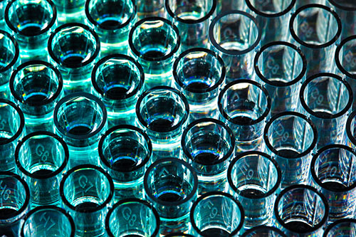 Antibodies for Immunoassays and ELISA - Creative Diagnostics