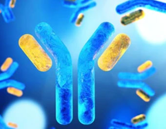 Antibodies - Creative Diagnostics