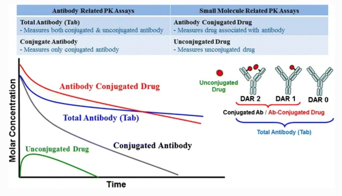Antibody Drug Conjugates Assay ELISA Kits - Creative Diagnostics