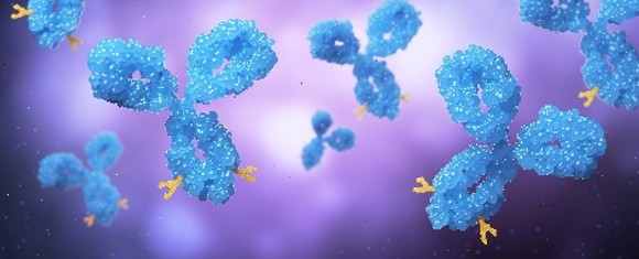 Custom Antibody Development - Creative Diagnostics
