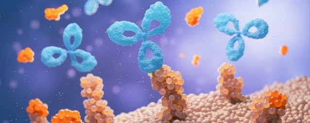 Custom Antibody Development - Creative Diagnostics