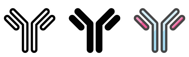 Custom Antibody Development - Creative Diagnostics