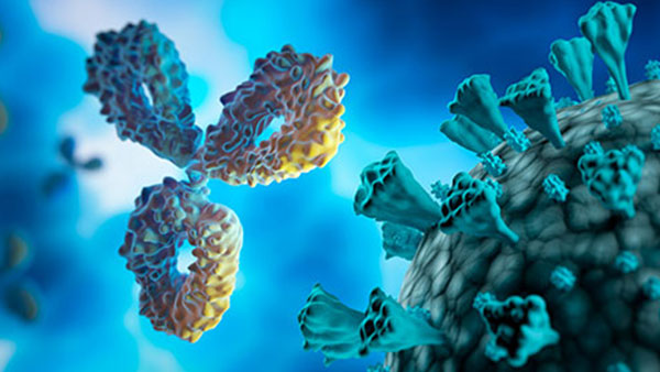 Antibodies for Immunofluorescence (IF) - Creative Diagnostics