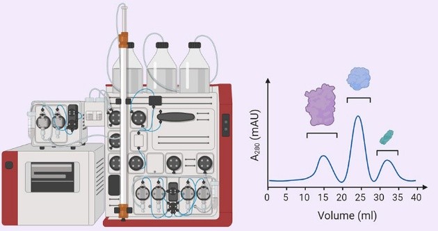 Antibody Modification - Creative Diagnostics