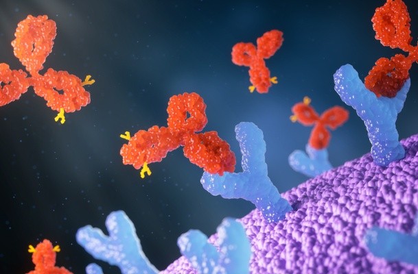 Antibody Modification - Creative Diagnostics