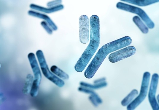 Antibody Modification - Creative Diagnostics