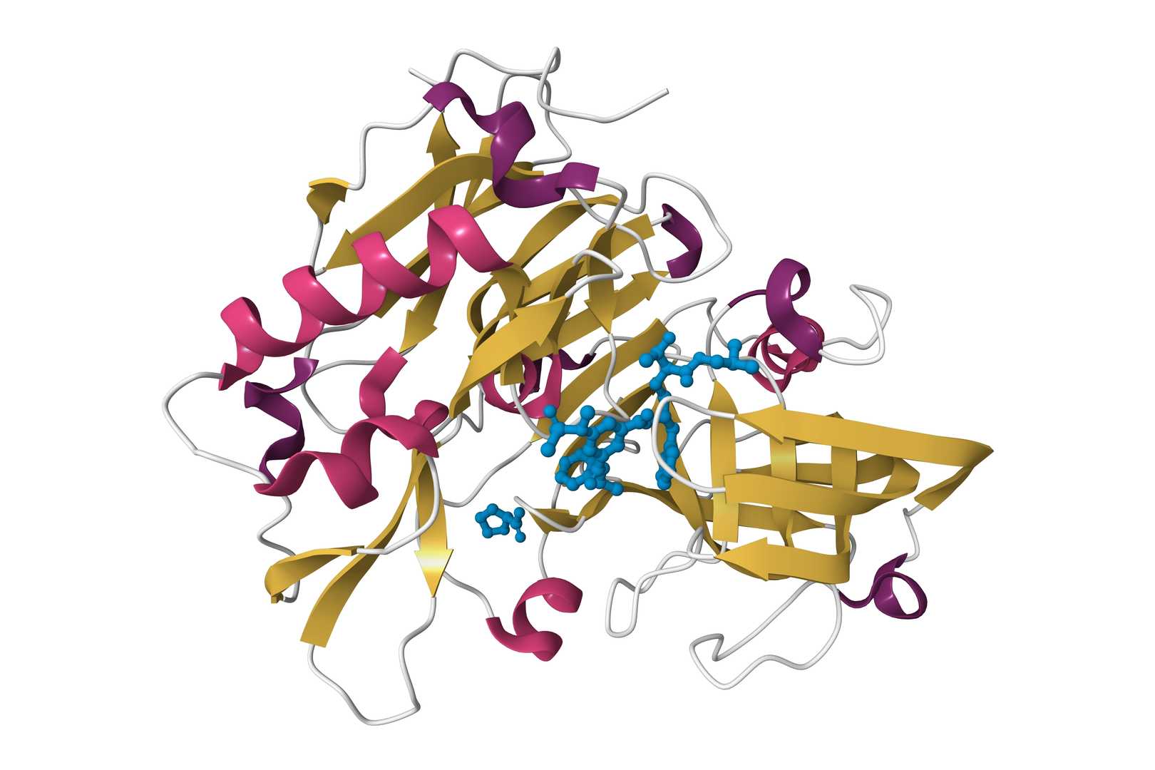 Aspartic Protease - Creative Diagnostics