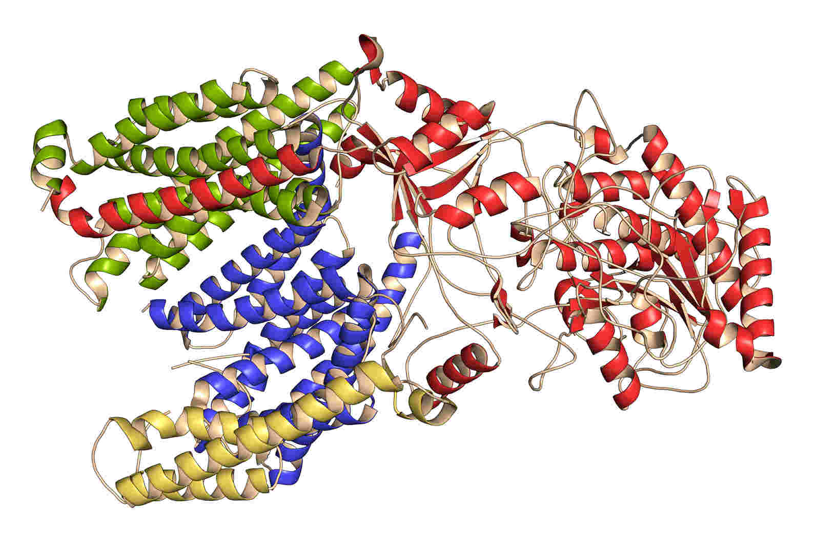 Aspartic Protease - Creative Diagnostics