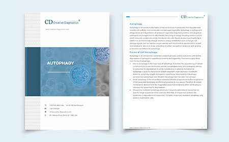 Brochures - Creative Diagnostics