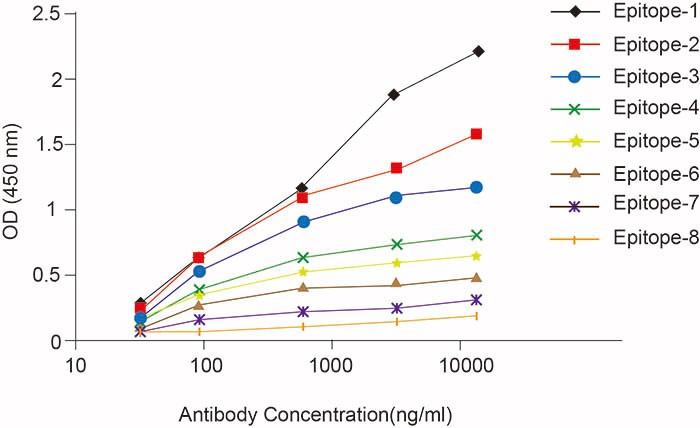 B Cell Sorting & Sequencing Platform - Creative Diagnostics