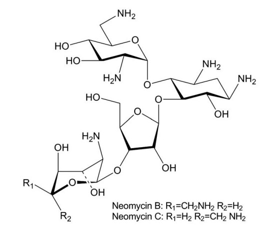 Background of Neomycin - Creative Diagnostics