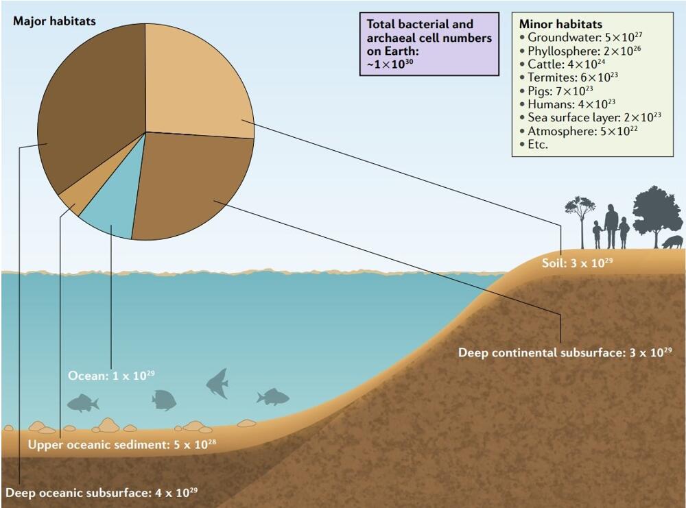 Bacterial Biofilm on Earth - Creative Diagnostics