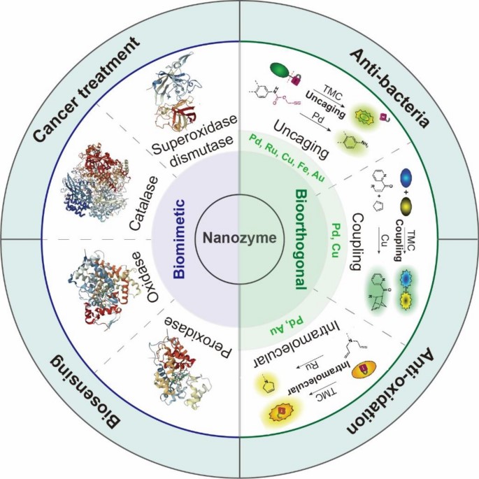 Biomimetic Nanozymes in Small Molecule Drug Synthesis - Creative ...