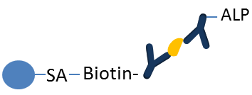 CDSimple™ Chemiluminescent ELISA Kits - Creative Diagnostics