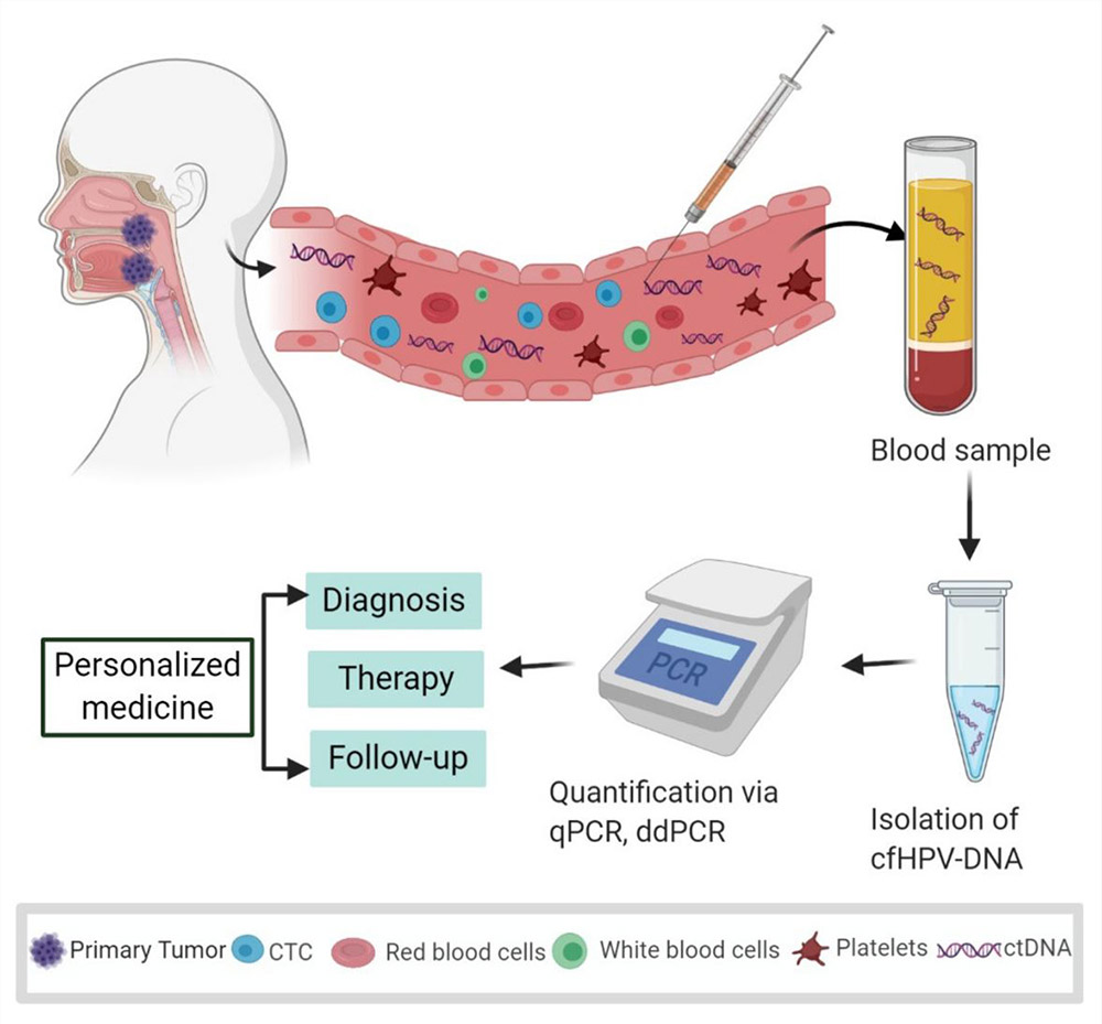Blood-Based HPV Biomarkers - Creative Diagnostics