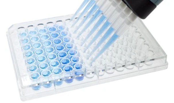 Calculating and Evaluating ELISA Data - Creative Diagnostics