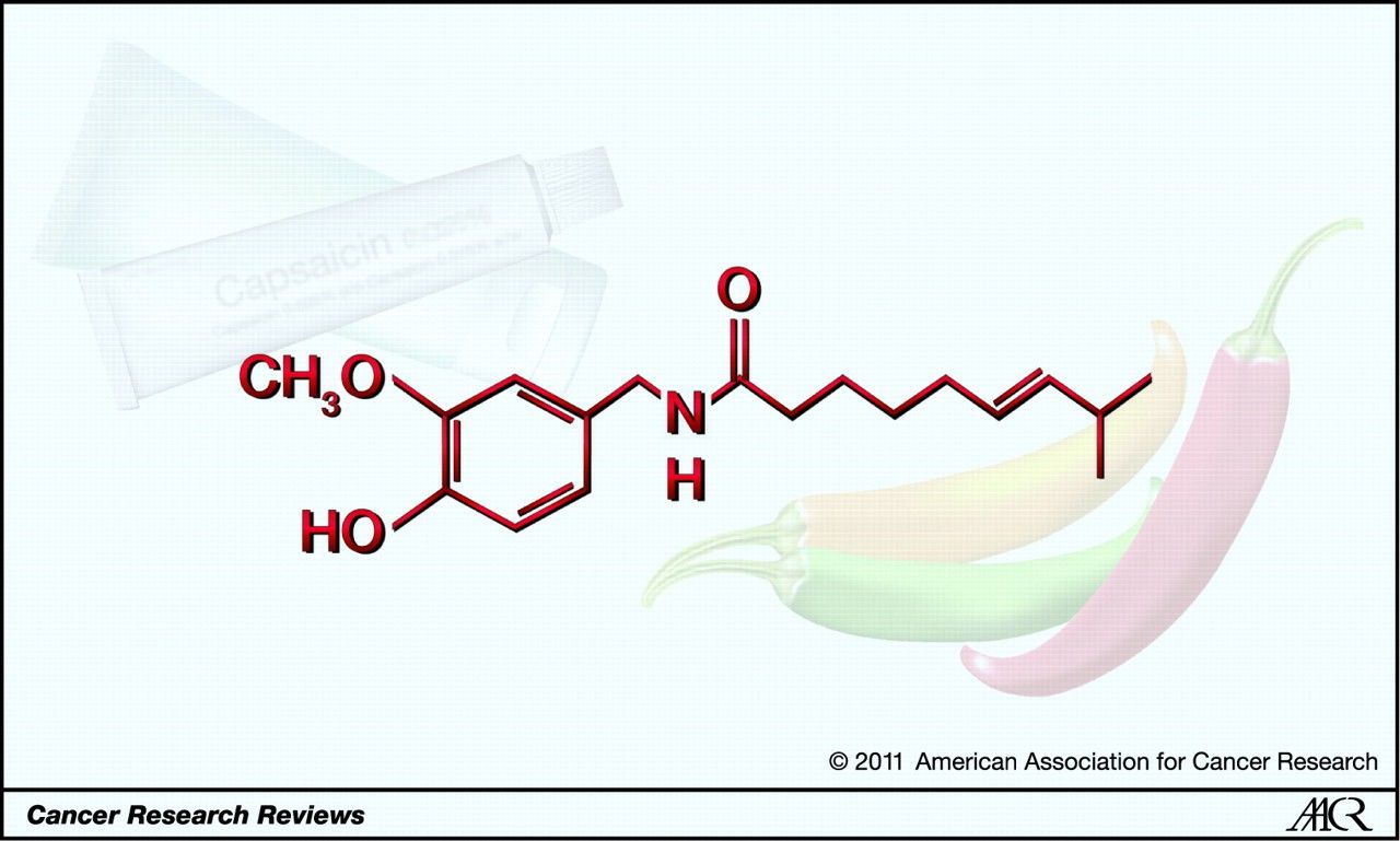 Capsaicin and Cancer: Overview - Creative Diagnostics