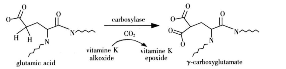 Carboxylation - Creative Diagnostics