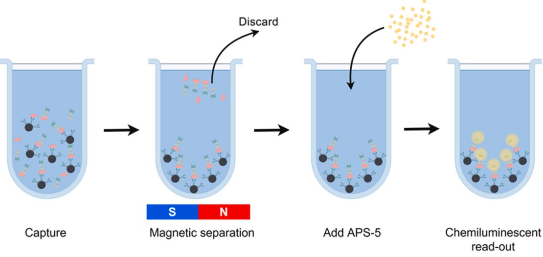 Chemiluminescent Immunoassays (CLIA) Platform - Creative Diagnostics