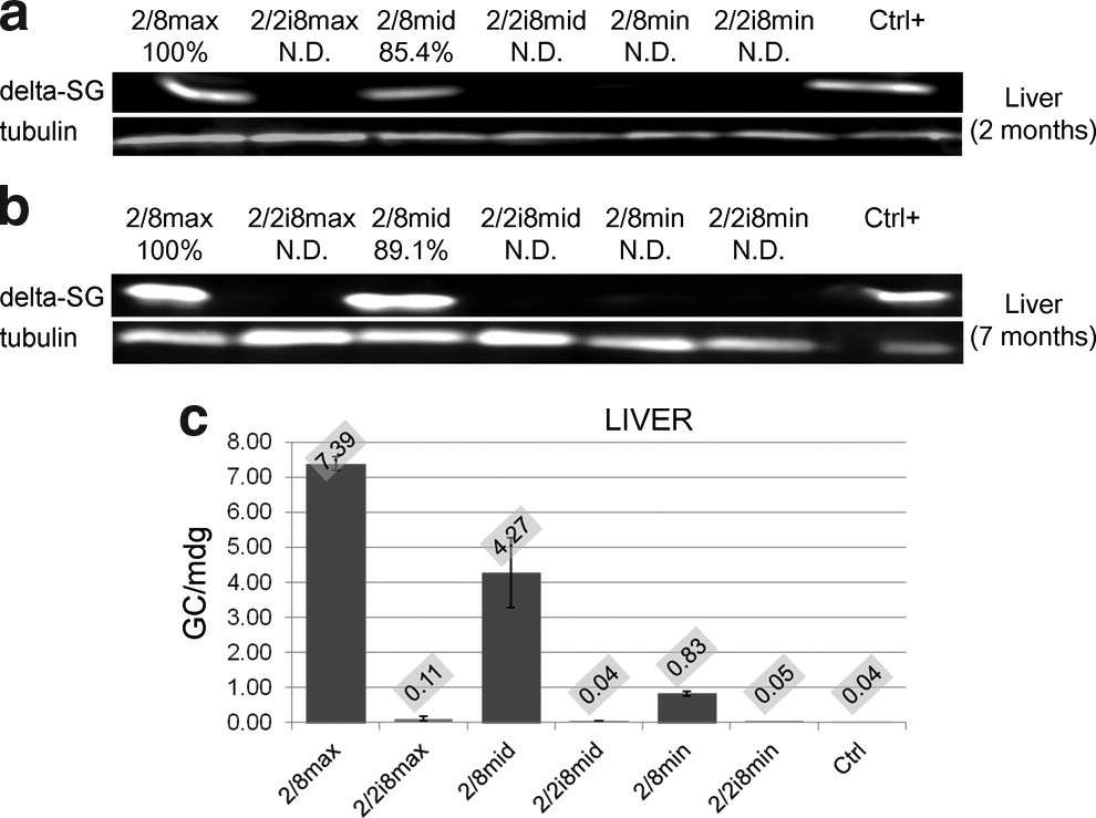 Chimeric AAV - An Innovative Tool for Gene Therapy - Creative Diagnostics