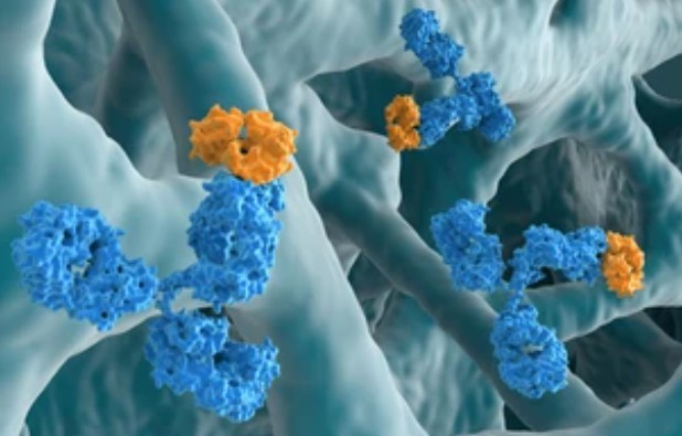 Complete ELISA Solutions for Biologics Development: ADA and Beyond ...