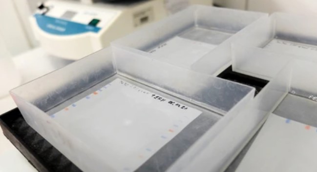 Guides - Creative Diagnostics