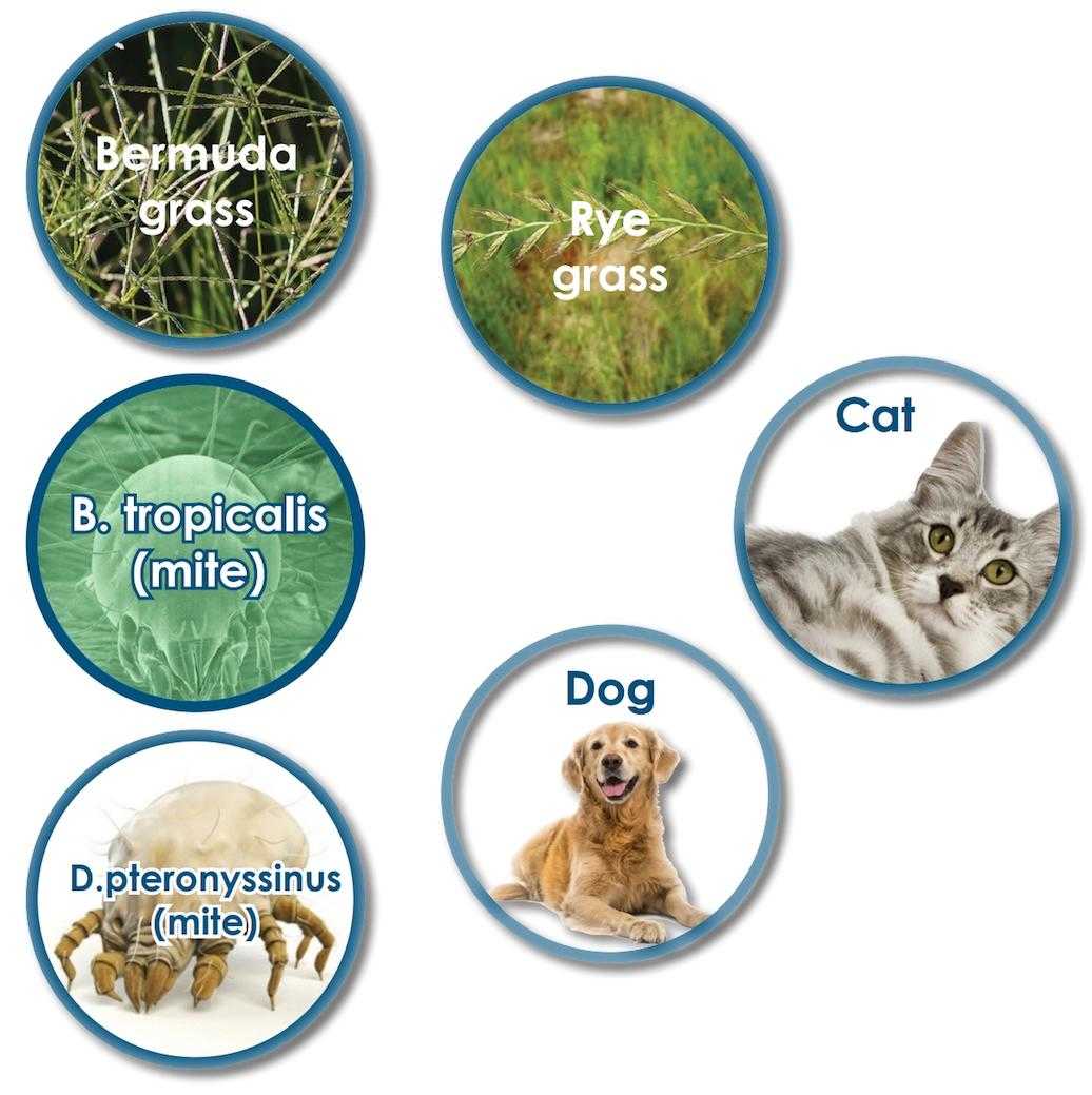 Contact & Inhalant Allergens - Creative Diagnostics