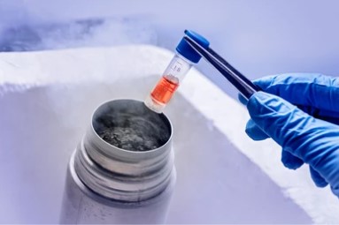 Cell Experiment Protocol - Creative Diagnostics