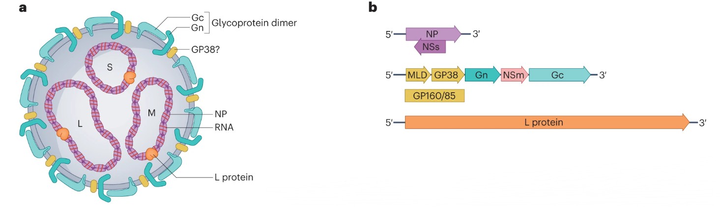 Research Review - Creative Diagnostics