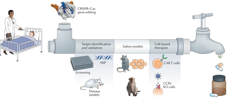 CRISPR-Validated Target Druggability for Small Molecule Drugs ...